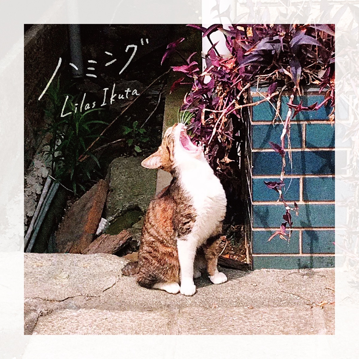 Lilas Ikuta - Humming Lyrics (Romanized) | ハミング - Lyrical Nonsense